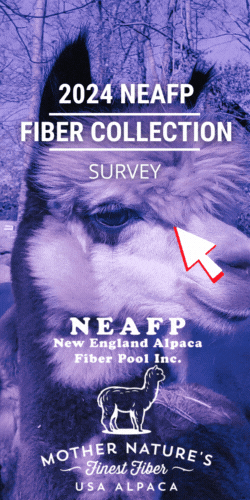 NEAFP - New England Alpaca Fiber Pool