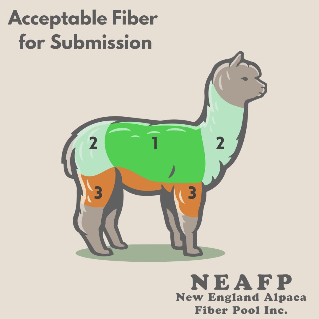 Fiber Collection: How to Submit Fiber to NEAFP